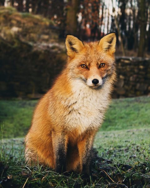 Les 3 fonctions du conte - Ateliers contes La Clef d'Or